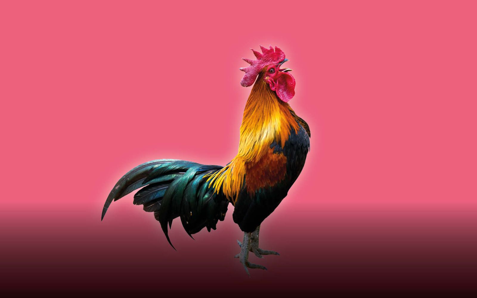 Max Reinhardt Seminar